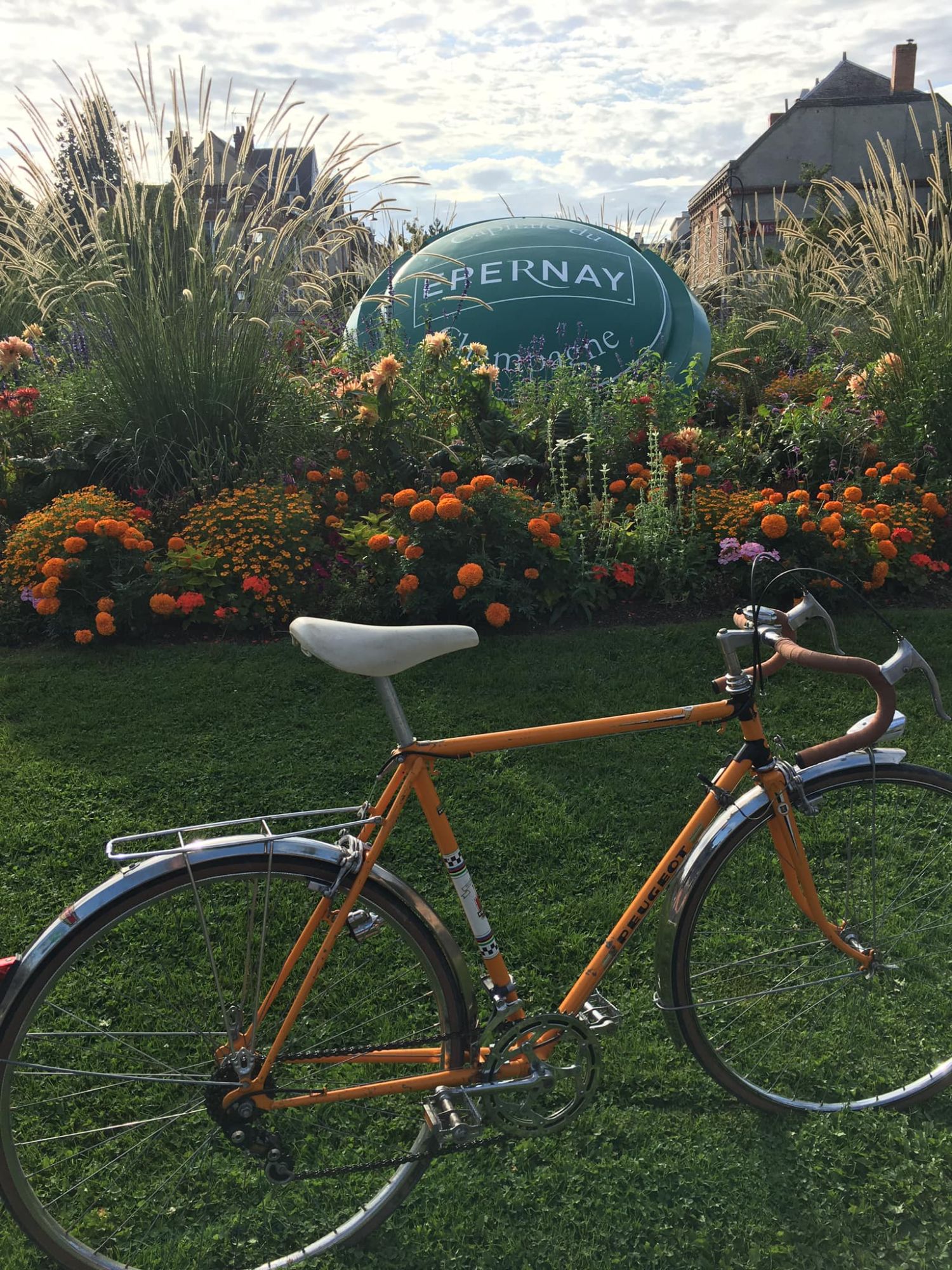 Les Vélos au Bord de l'Eau : location de vélo en Champagne